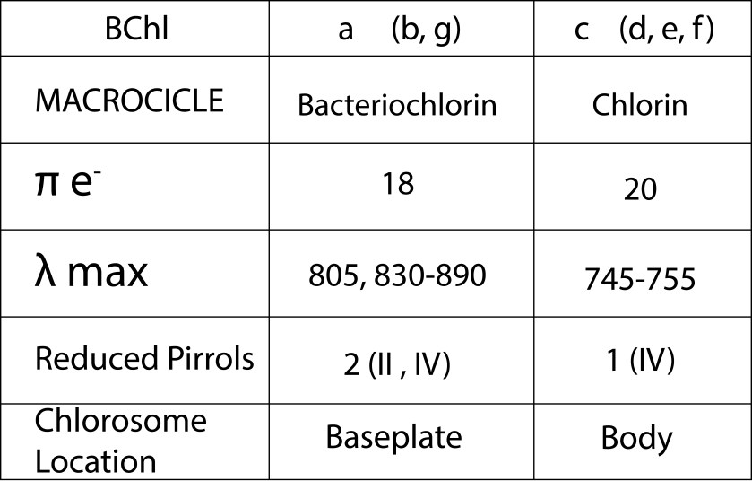 X. CLOROSOMA: ESTRUCTURA Y FUNCIÓN – Andeantrees